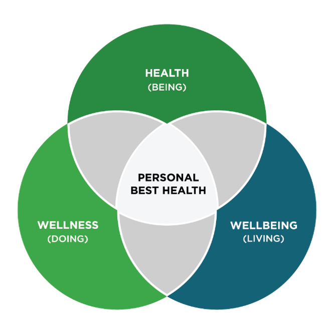 Home — Asset Health 2025 New – Asset Health